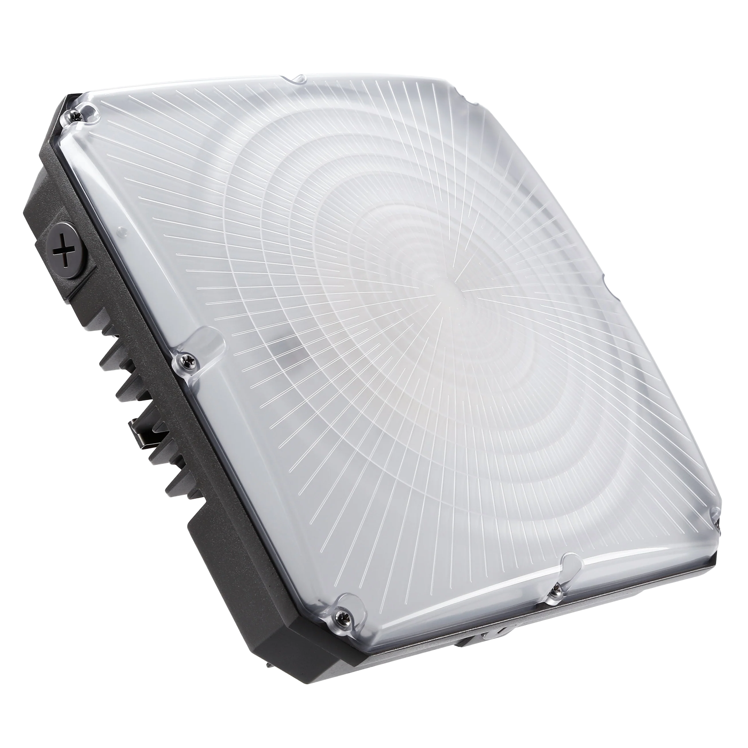 Canopy-&-Wall-Packs-Commercial-Outdoor – Torchstar Lighting
