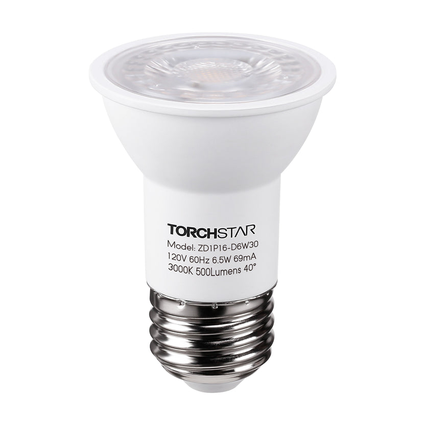 Incandescent Vintage Light Bulbs | TORCHSTAR – Torchstar Lighting